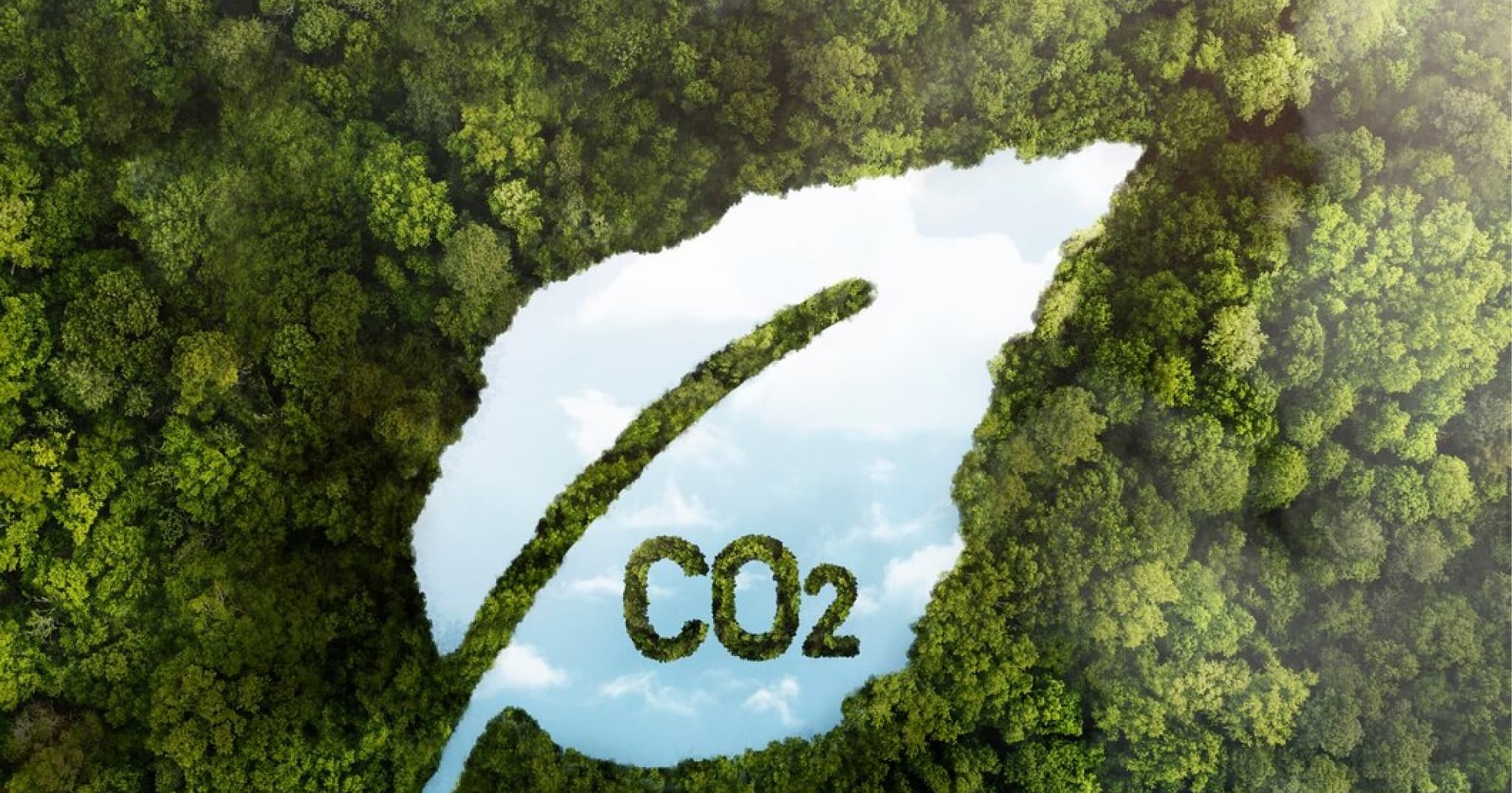 GreenMetrics - Carbon Accounting